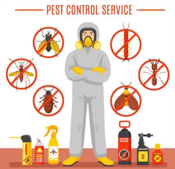 Best-Rated Pest Control Services in Doha | Top Pest Treatment Experts Qatar